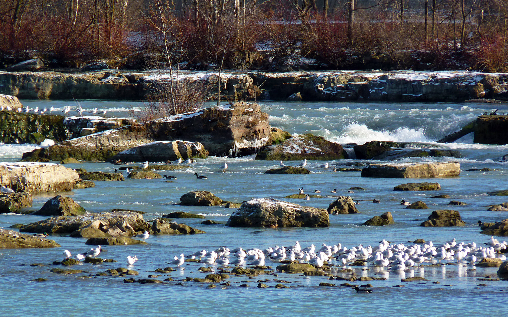 Protecting Our Waterways: The Waterkeeper Alliance – State of the Planet