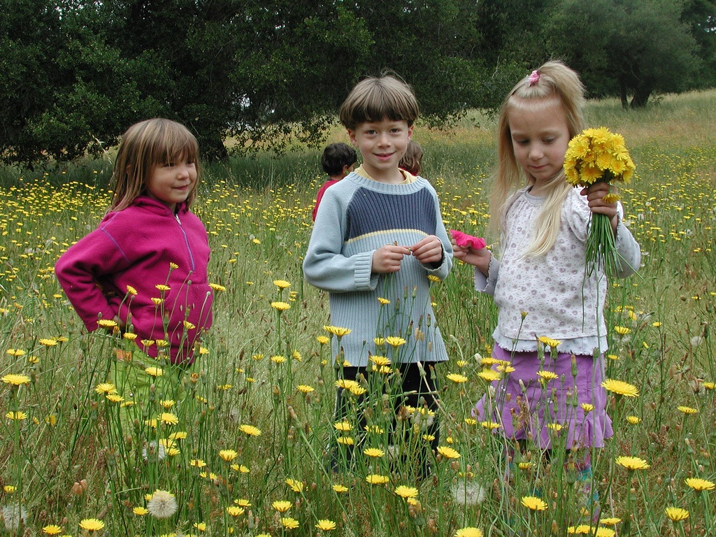 Why We Must Reconnect With Nature – State of the Planet