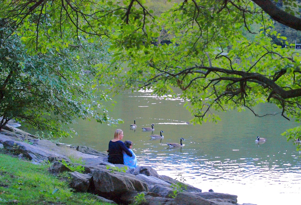 Why We Must Reconnect With Nature – State of the Planet