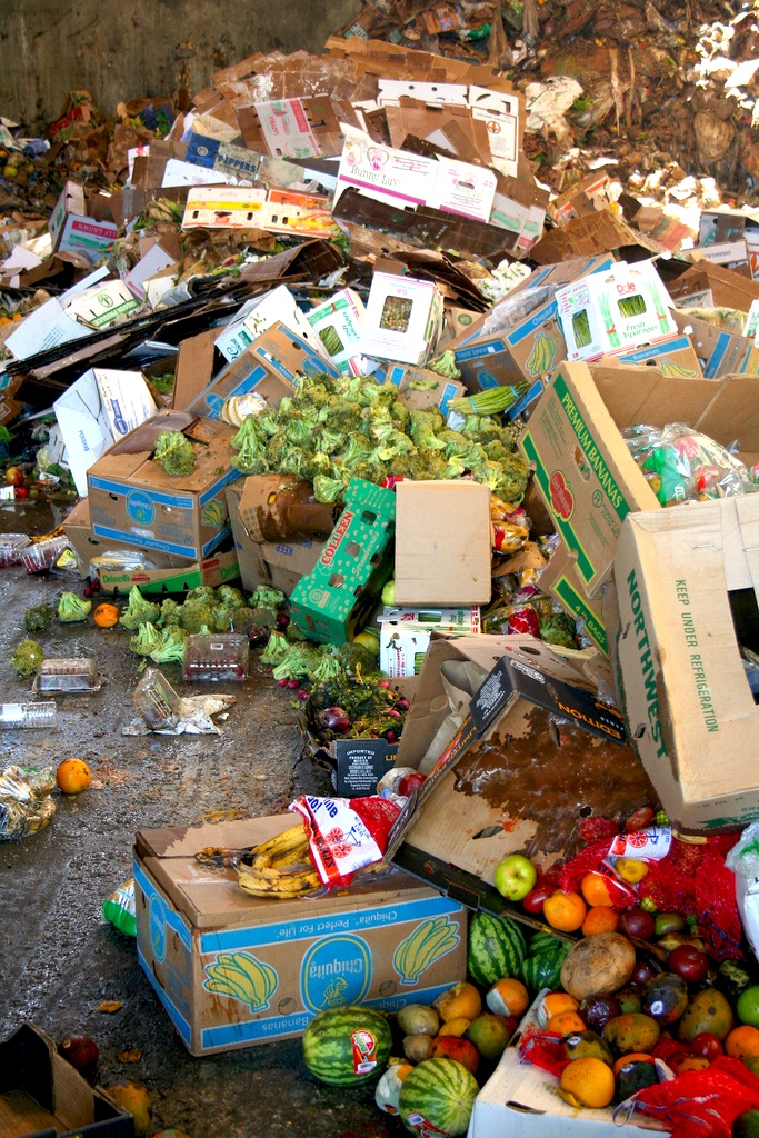Wasting Food = Wasting Water – State of the Planet