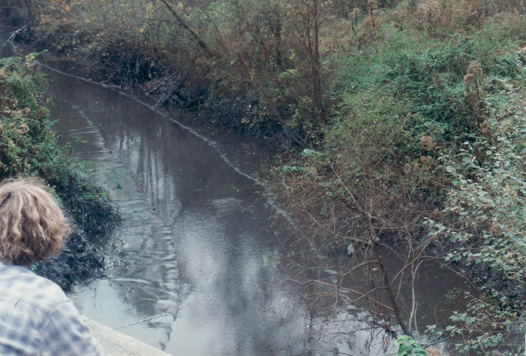 Mountaintop Removal: Laying Waste to Streams and Forests – State of the ...