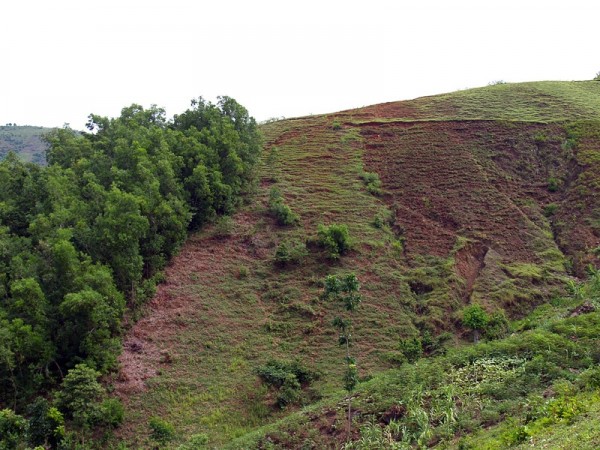 Restoring Damaged Ecosystems – The Challenge of Haiti – State of the Planet