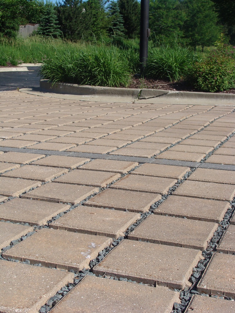 Building NYC’s Resilience to Climate Change With Green Infrastructure ...