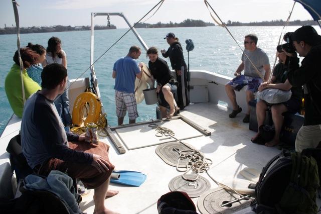 Study Coral Reef Ecology in Bermuda – State of the Planet