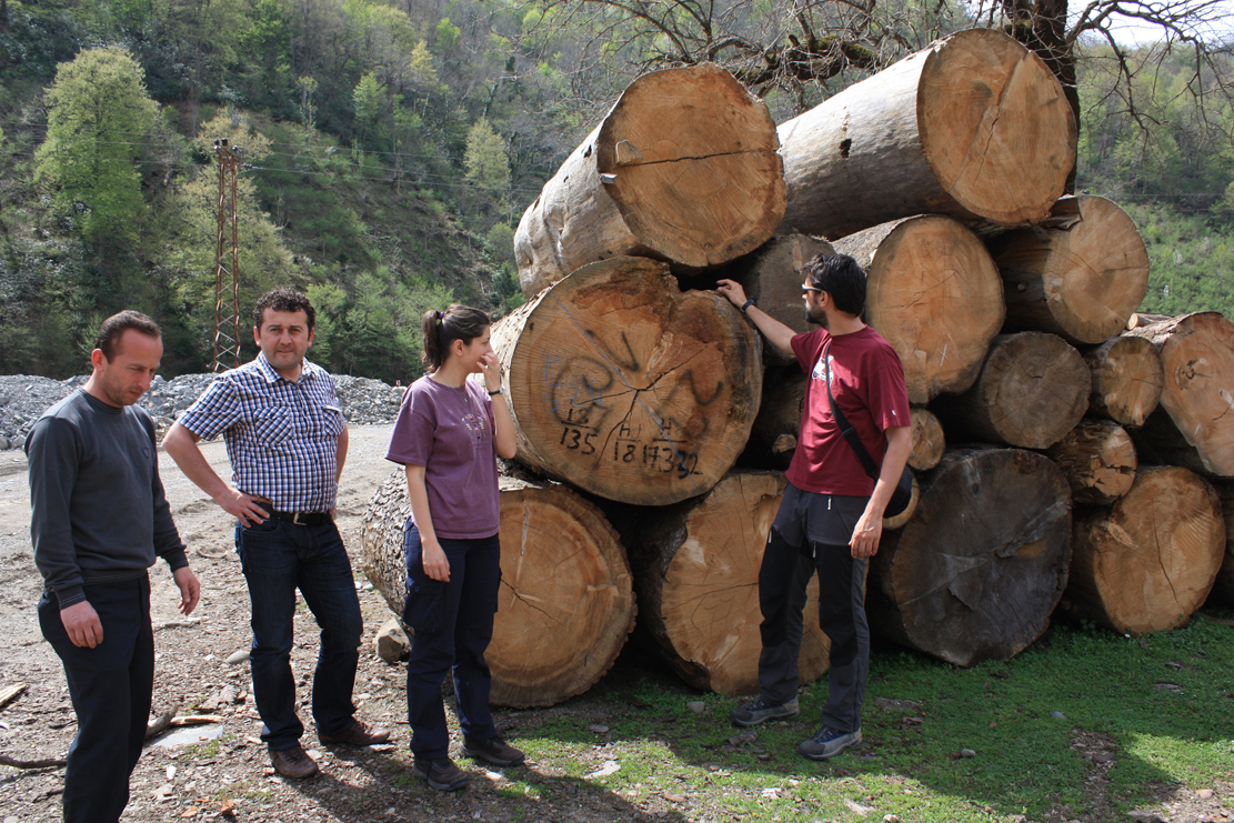 Tree-Ring Science in a Log Yard? – State of the Planet