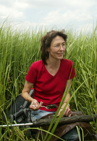 When the World Ended in Ice – State of the Planet