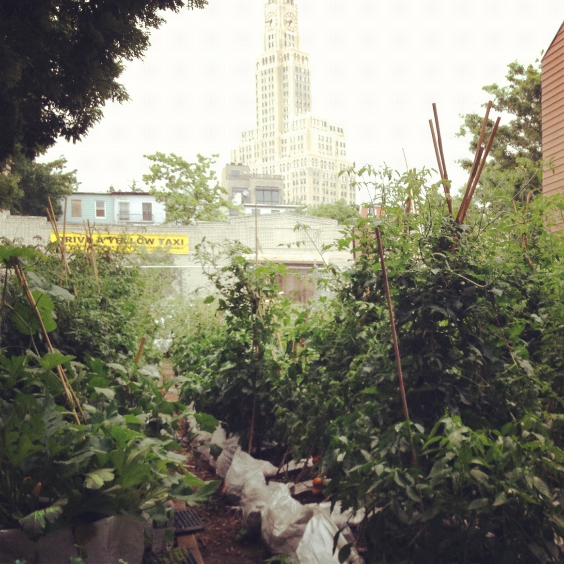 How Green is Local Food? – State of the Planet