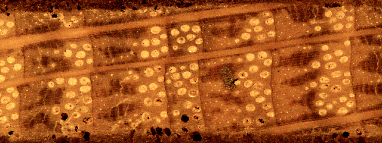 The Zen of Sanding – State of the Planet