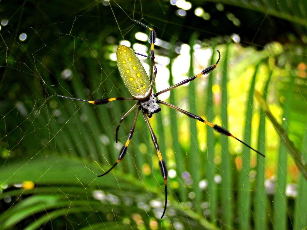 Genetic Modifications You May Not Know About – State of the Planet