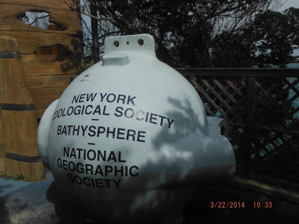 Exploring Ecology and History in Bermuda – State of the Planet