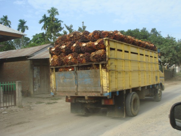 ‘The Big Ratchet’ – State of the Planet