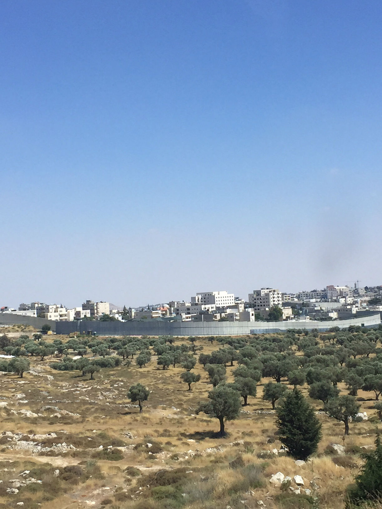 The Environmental Paradox: Escalating Conflict and Bringing Peace in ...