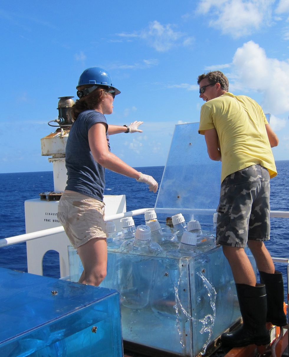 What Are Those Phytoplankton Up To? Genetics Holds Some Clues – State ...