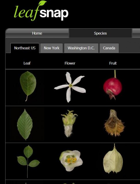 Citizen Science, Smartphone Apps and a $10,000 Prize – State of the Planet