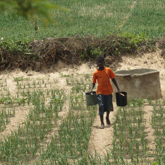 Helping Senegalese Farmers with Smart Solar – State of the Planet