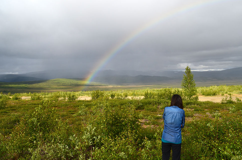 Photo Essay: Where the Trees Meet the Tundra – State of the Planet