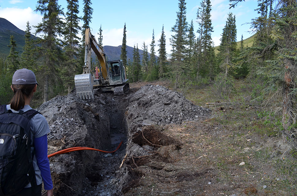 Photo Essay: Where the Trees Meet the Tundra – State of the Planet