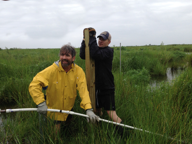 Construction in the Swamp – State of the Planet