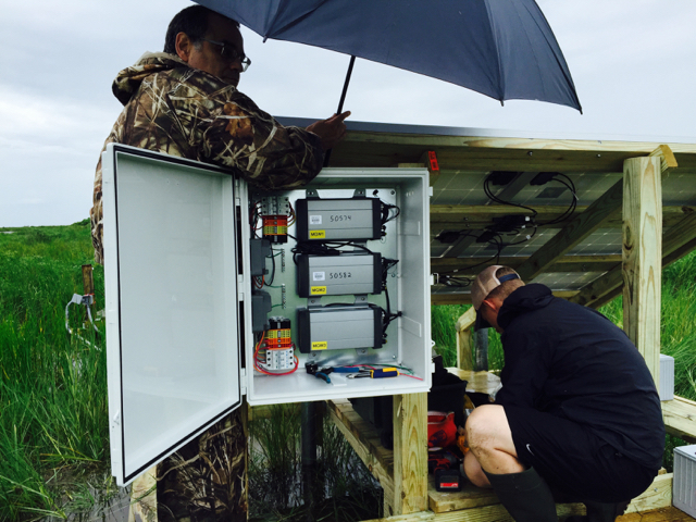 Construction in the Swamp – State of the Planet