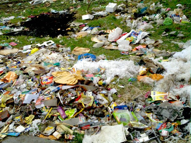 Putting Garbage to Good Use with Waste-to-Energy – State of the Planet