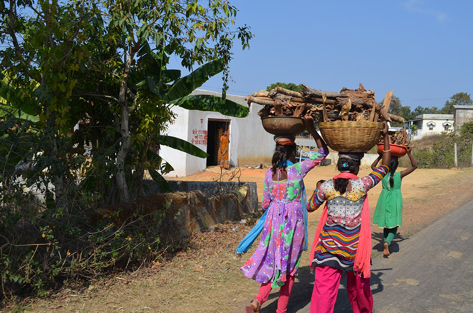 Photo Essay: When People Must Make Way for Nature – State of the Planet