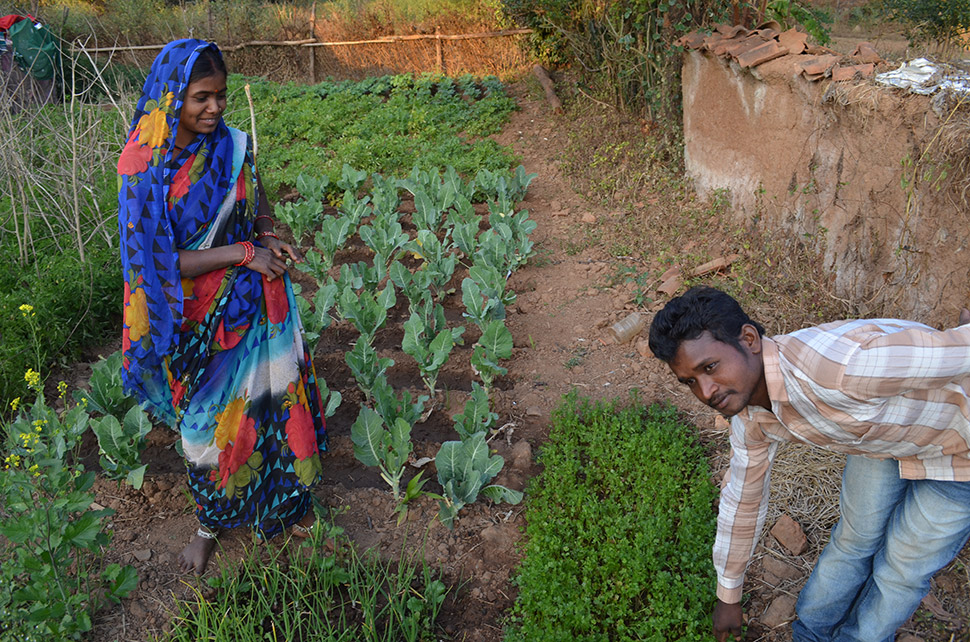 Photo Essay: When People Must Make Way for Nature – State of the Planet