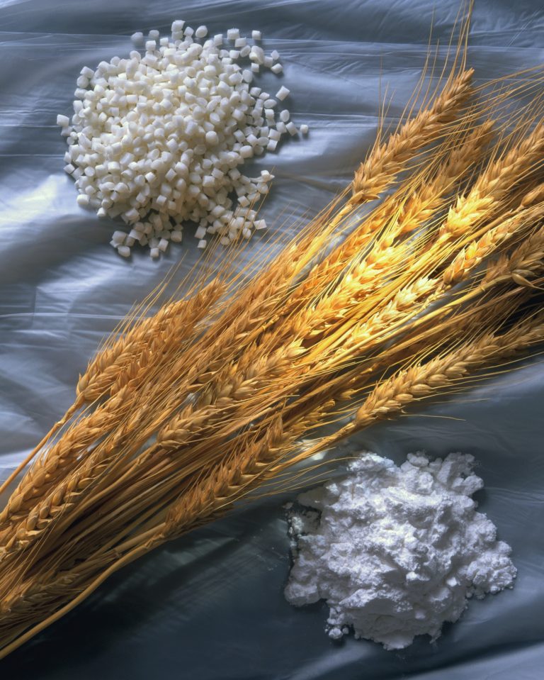 The Truth About Bioplastics – State of the Planet