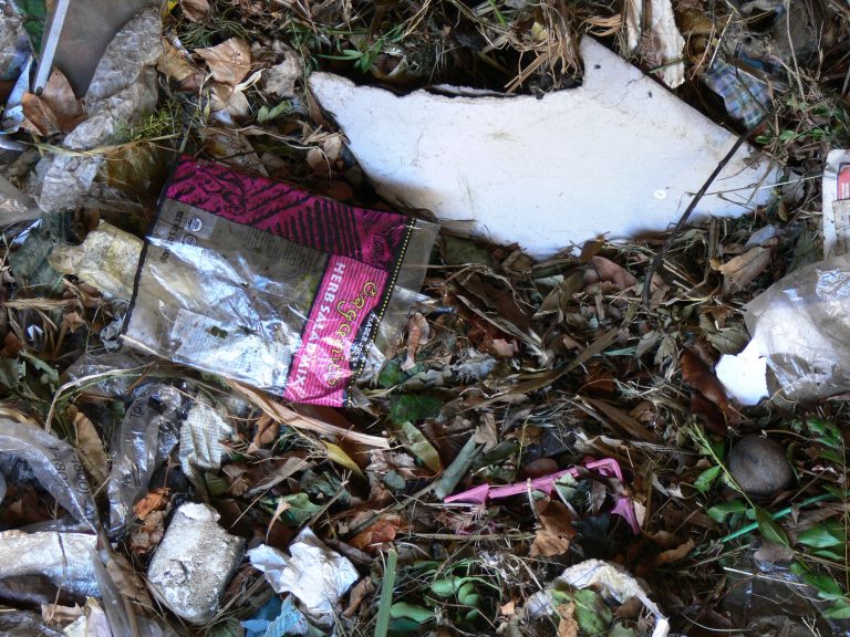The Truth About Bioplastics – State of the Planet