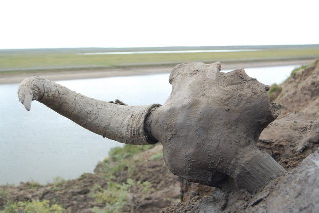 Why Thawing Permafrost Matters – State of the Planet