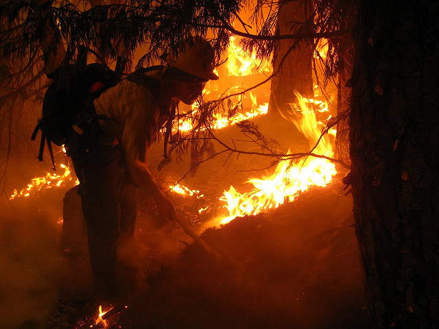 Fire Modeling: A New Approach to Wildfire Prevention – State of the Planet
