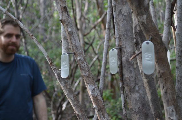 Climate Change and the Re-Greening of Puerto Rico – State of the Planet