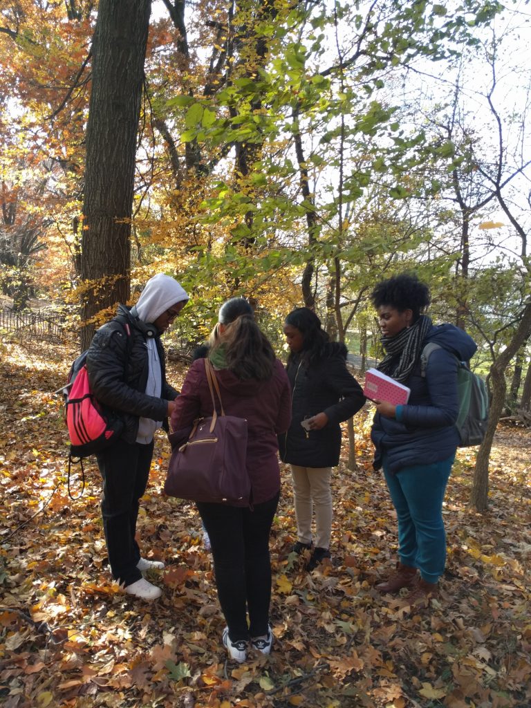 Measuring Lead in New York City Soils – State of the Planet