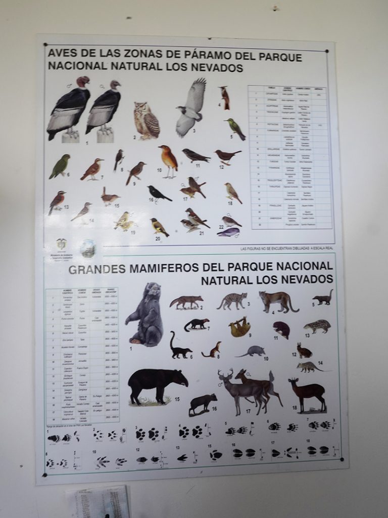 This Unique Andean Ecosystem is Warming Almost as Fast as the Arctic ...