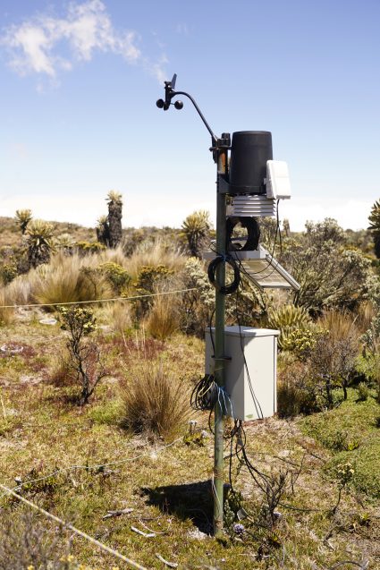 This Unique Andean Ecosystem is Warming Almost as Fast as the Arctic ...
