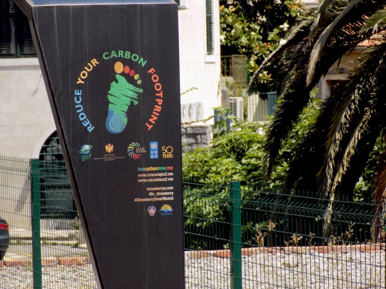 The 35 Easiest Ways to Reduce Your Carbon Footprint – State of the Planet