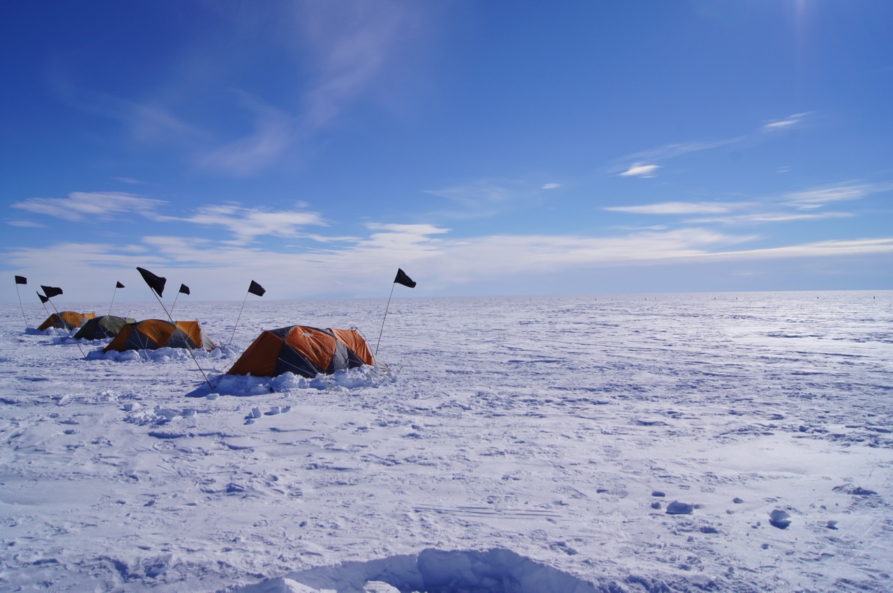 Into Deep Field – State of the Planet