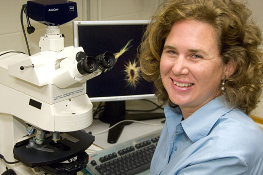 Sonya Dyhrman Named Fellow of the American Academy of Microbiology ...