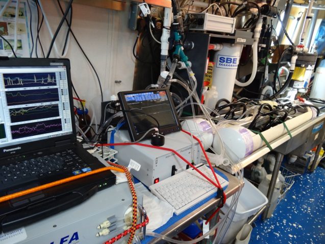 Data Science Students Team Up With Marine Biologist – State of the Planet