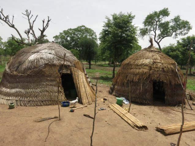 Mixing Science With Tradition Among Burkina Faso’s Migratory Herders ...
