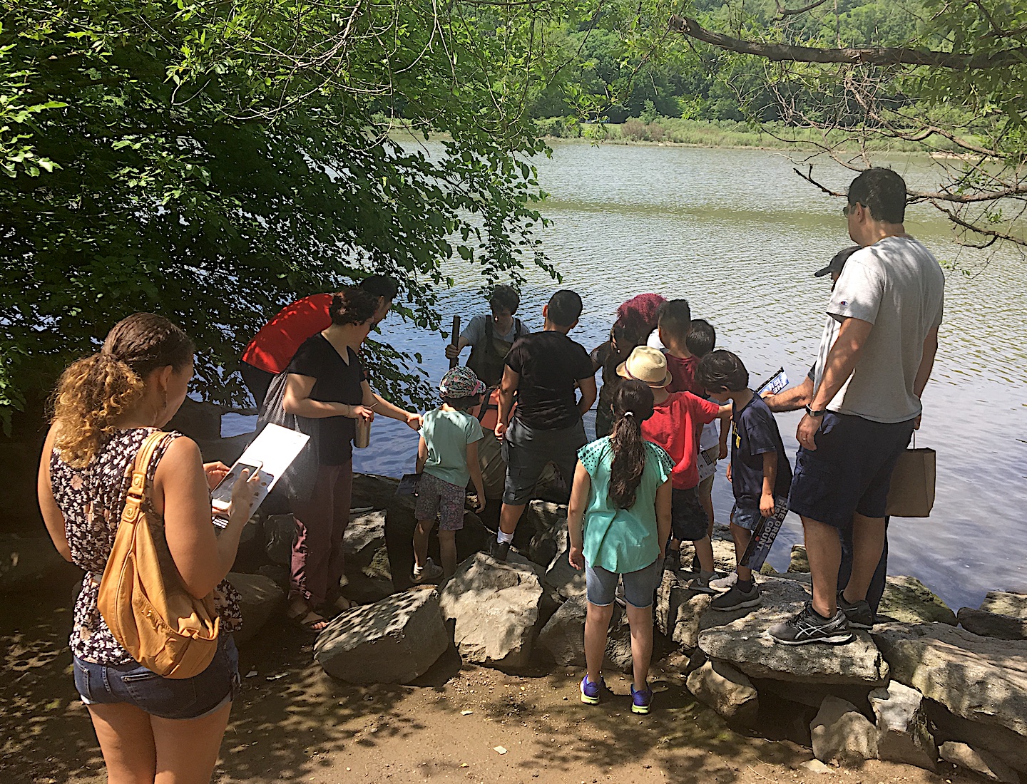 On June 1st, Fish Will Be Filling Our Nets All Around New York City ...