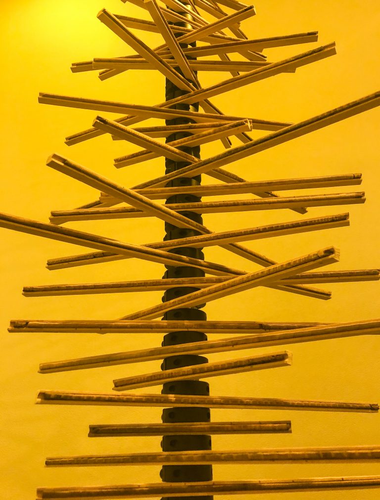 ‘Offsetted’ Art Exhibit Explores Humanity’s Relationship to Trees ...