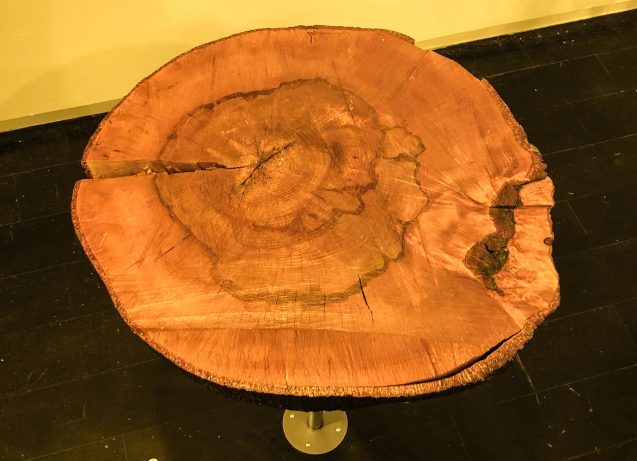 ‘Offsetted’ Art Exhibit Explores Humanity’s Relationship to Trees ...