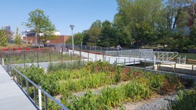 What Are the Hidden Co-Benefits of Green Infrastructure? – State of the ...