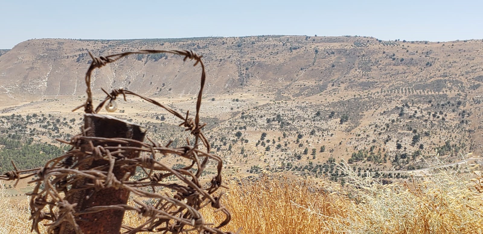 Landscape Conversion and its Impacts on Biodiversity Conservation in ...