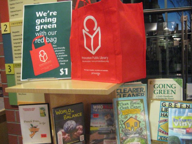 Plastic, Paper or Cotton: Which Shopping Bag is Best? – State of the Planet