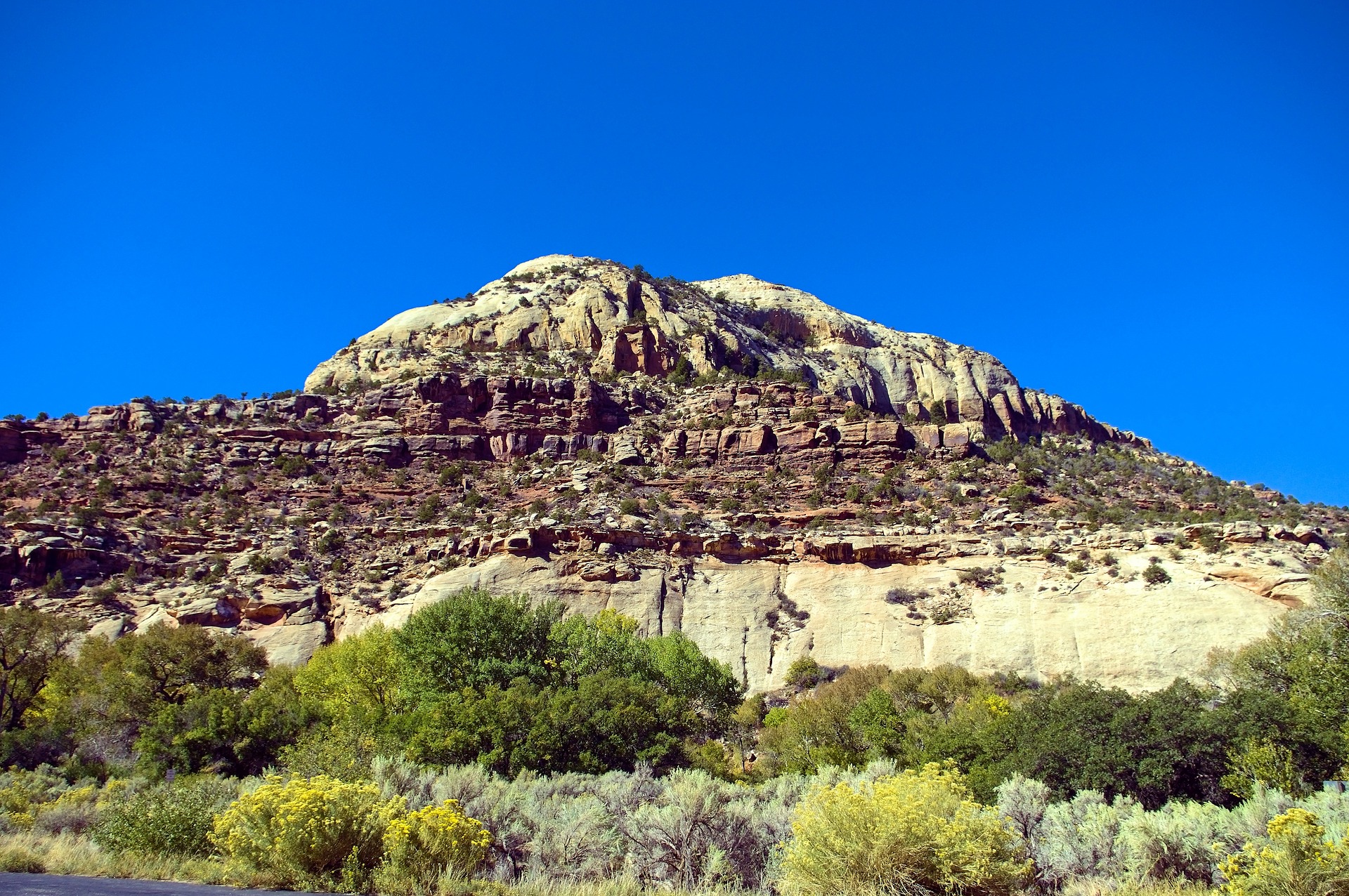 Students Study Conflict and Collaboration at Bears Ears – State of the ...