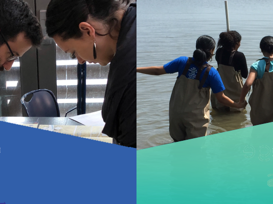 Come Learn in the Earth Institute’s New Non-Degree Programs This Fall ...