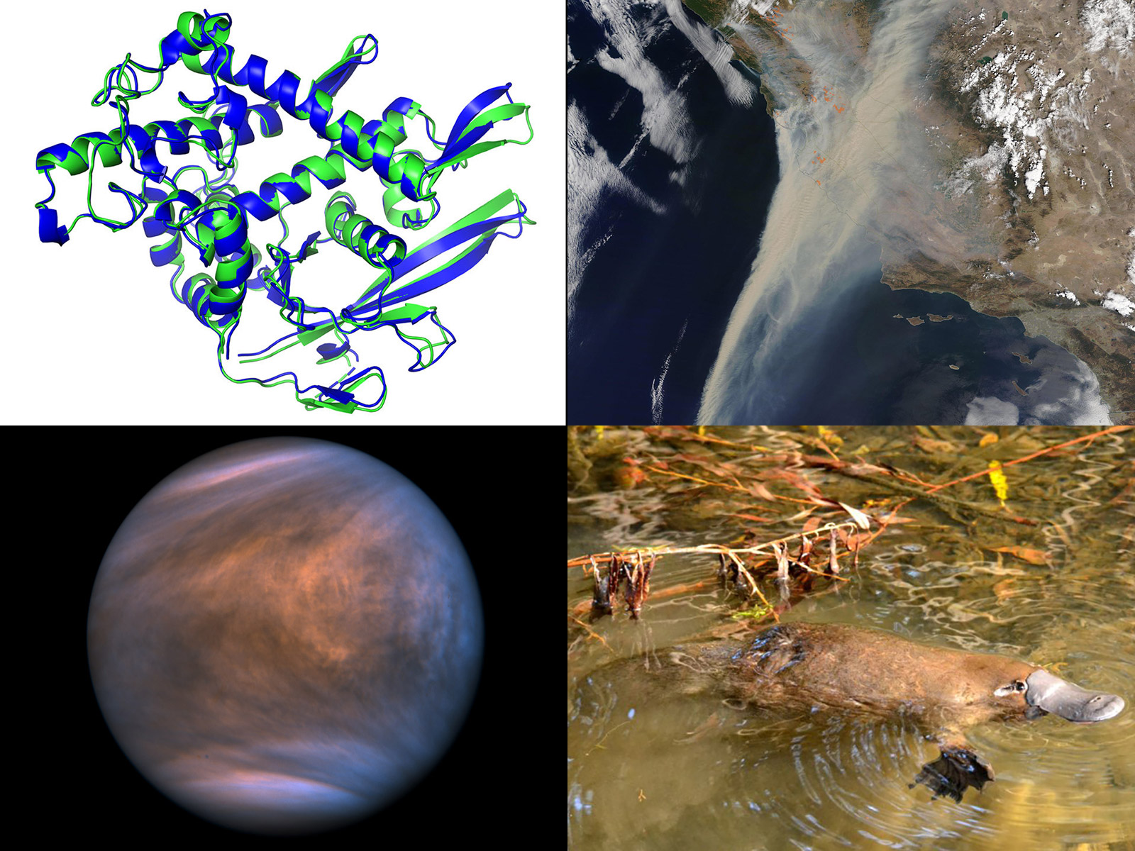 Quiz: 2020 Science News – State of the Planet
