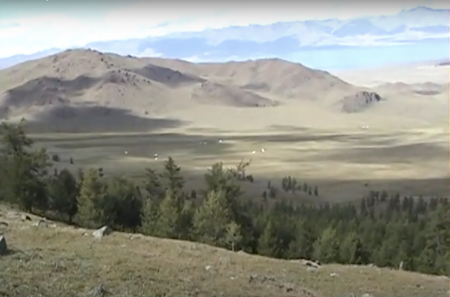 New Way of Analyzing Tree Rings Confirms Unprecedented Central Asia ...