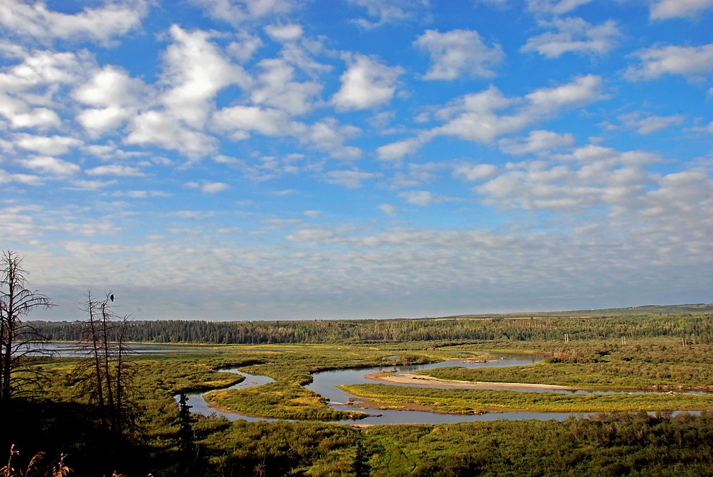 Narrating Landscapes: How Indigenous Storytelling Can Unlock Our ...